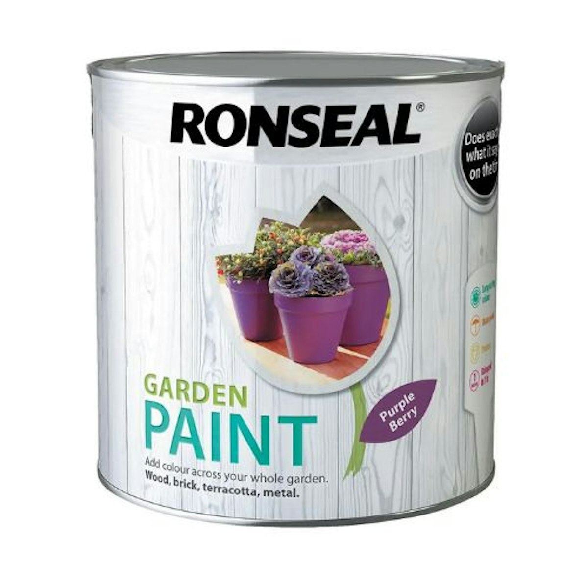 Best outdoor wall paint to uplift your garden