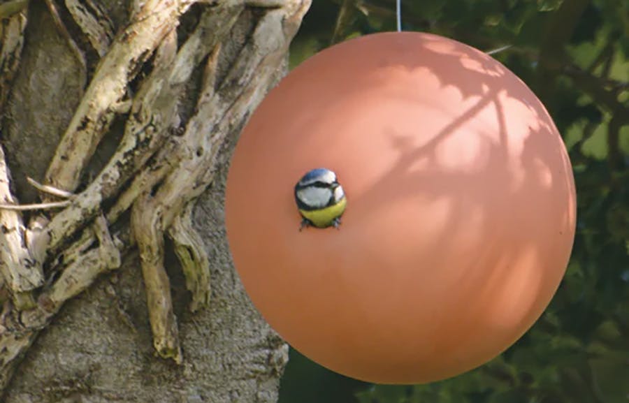 Best wildlife houses for a modern garden | Modern Gardens