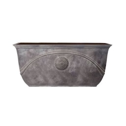 Best plants for window boxes in 2025