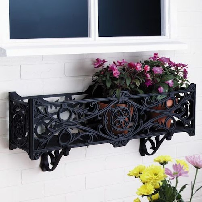 Best Plants for Window Boxes UK 2023