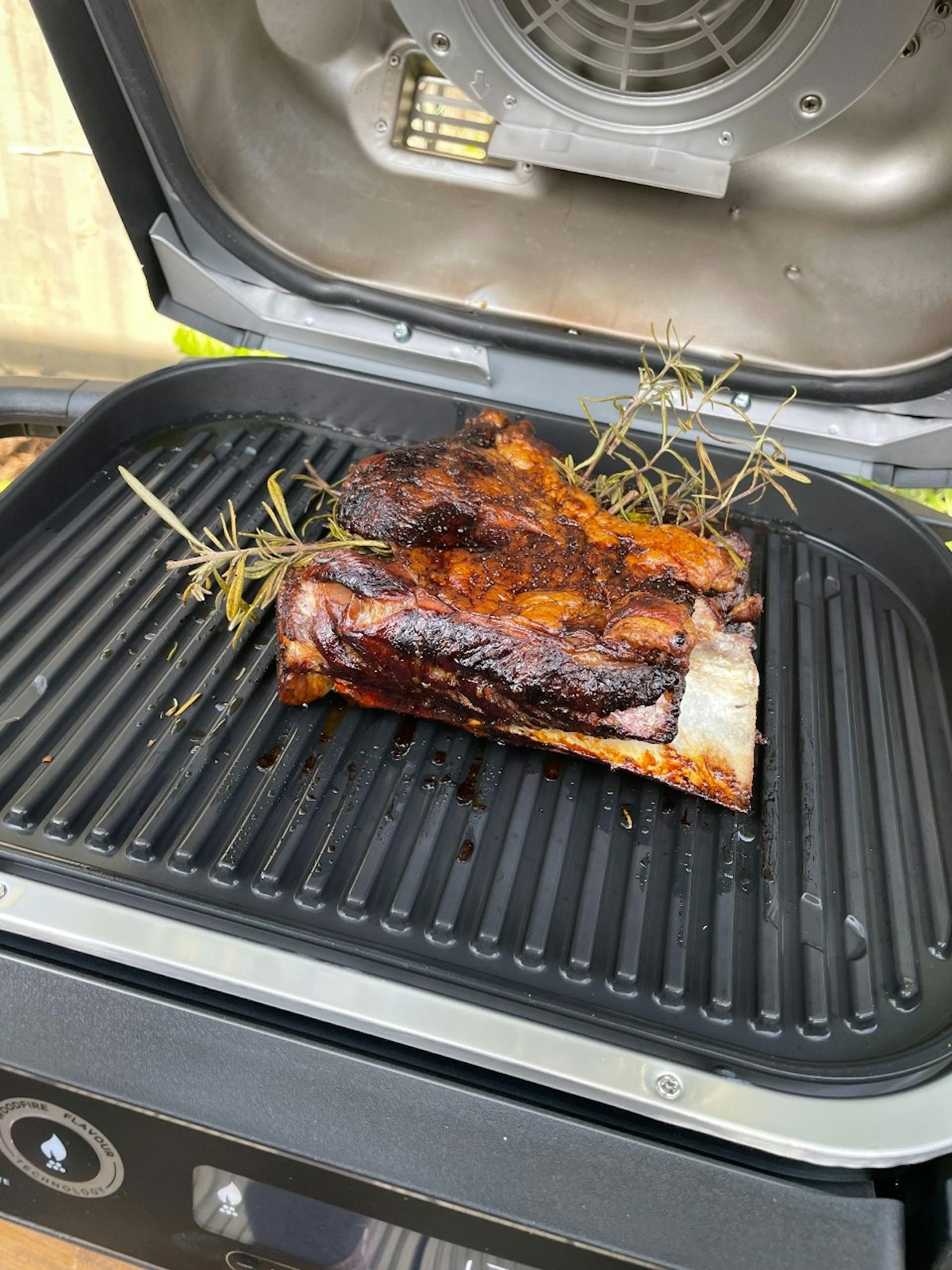 Ninja Woodfire Electric BBQ Grill review