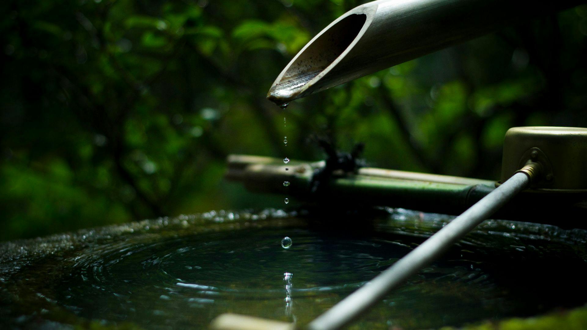 Japanese-Inspired Bamboo Water Features and Fountains UK