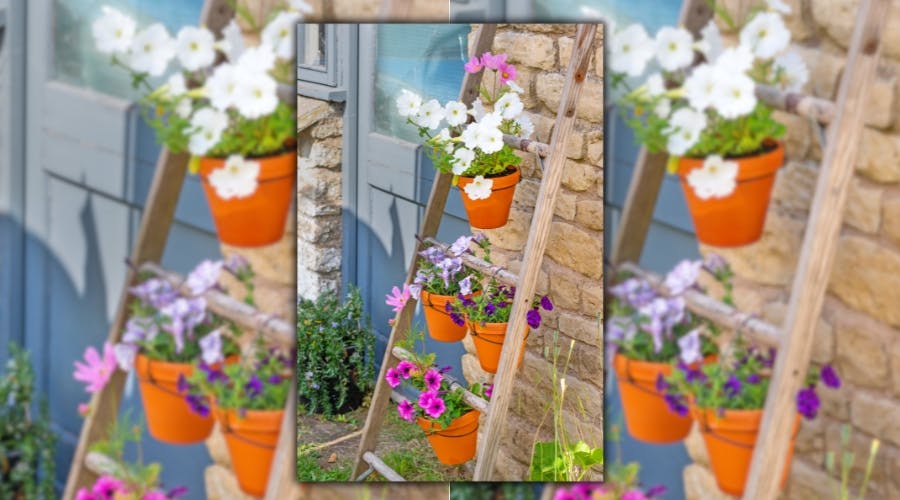 DIY ladder plant stand