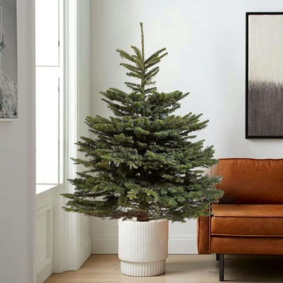 Best real Christmas trees to buy for your home this year