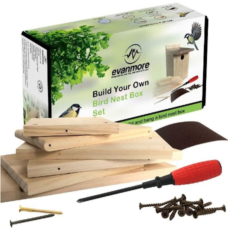 Best bird nest boxes and houses for avian accommodation