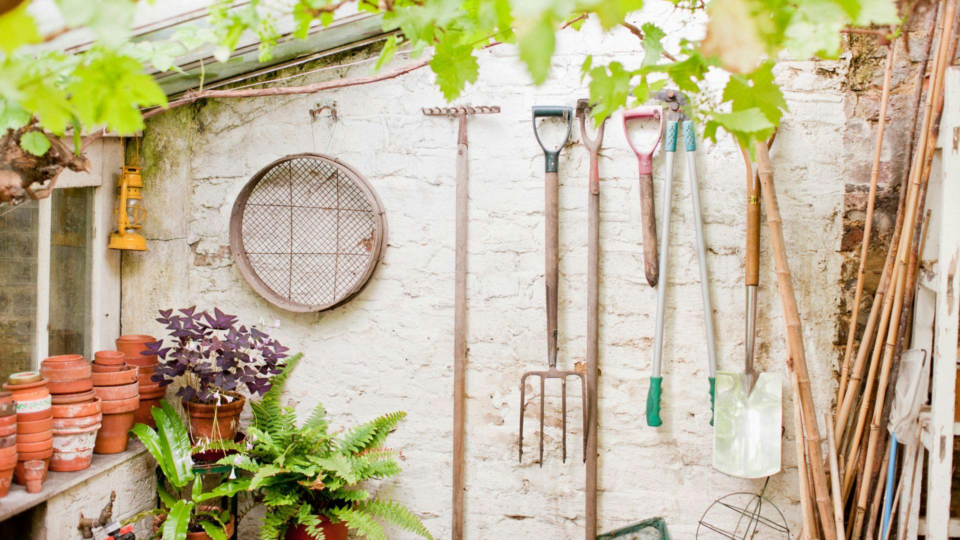 Best garden tools buyer's guide: What you need