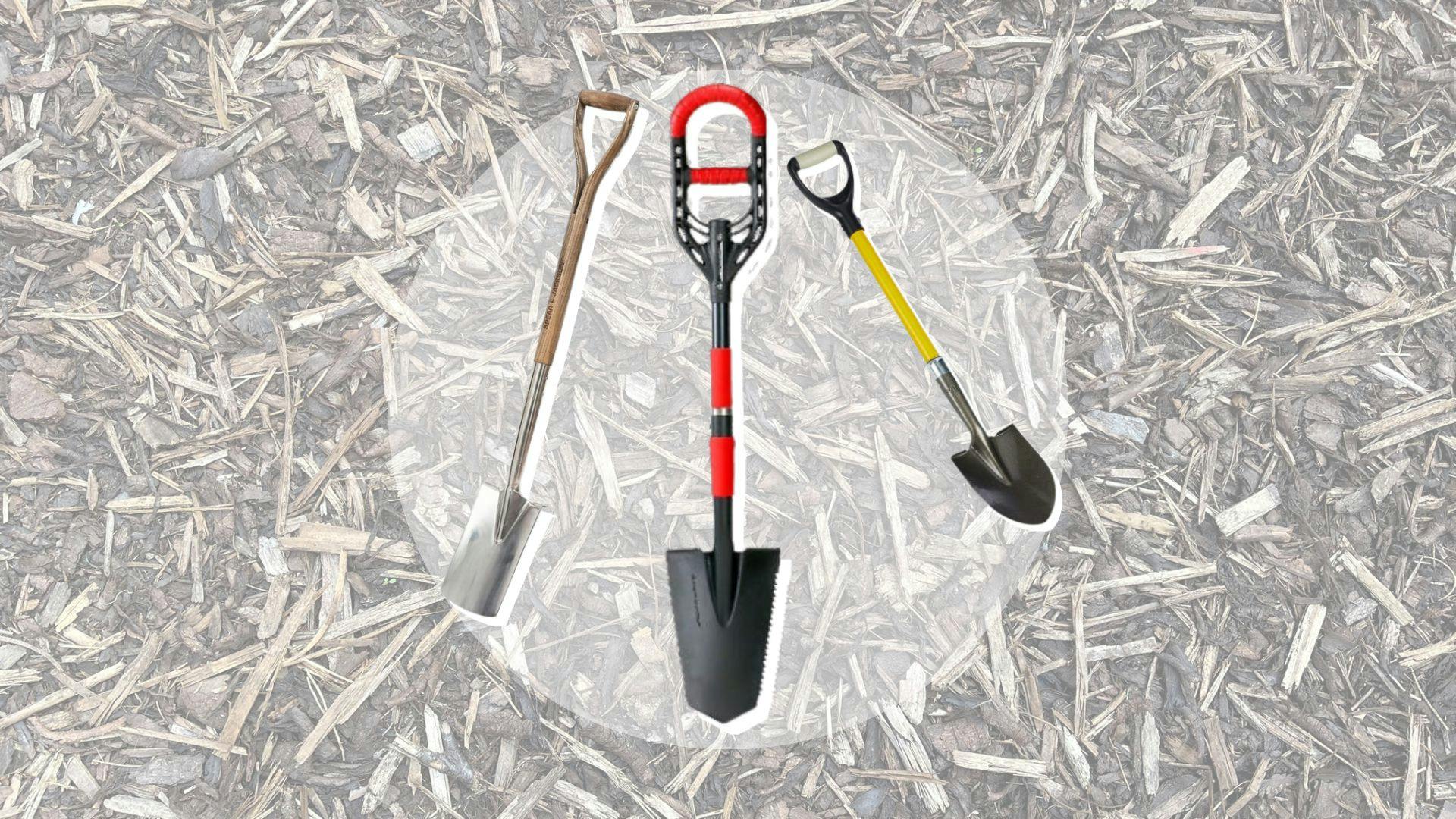 The best garden spade to dig for victory 2024