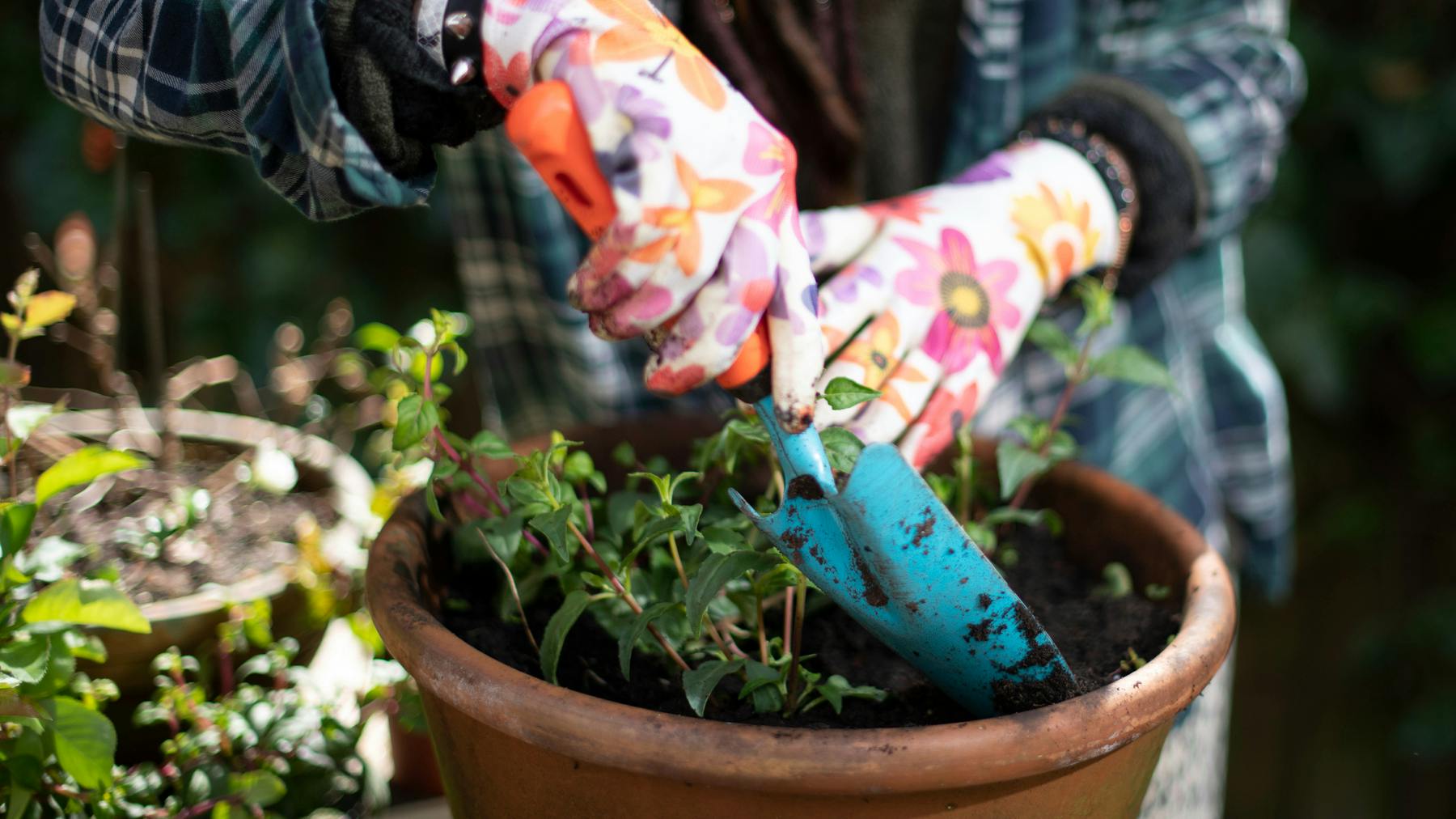 The best garden trowel for potting and planting