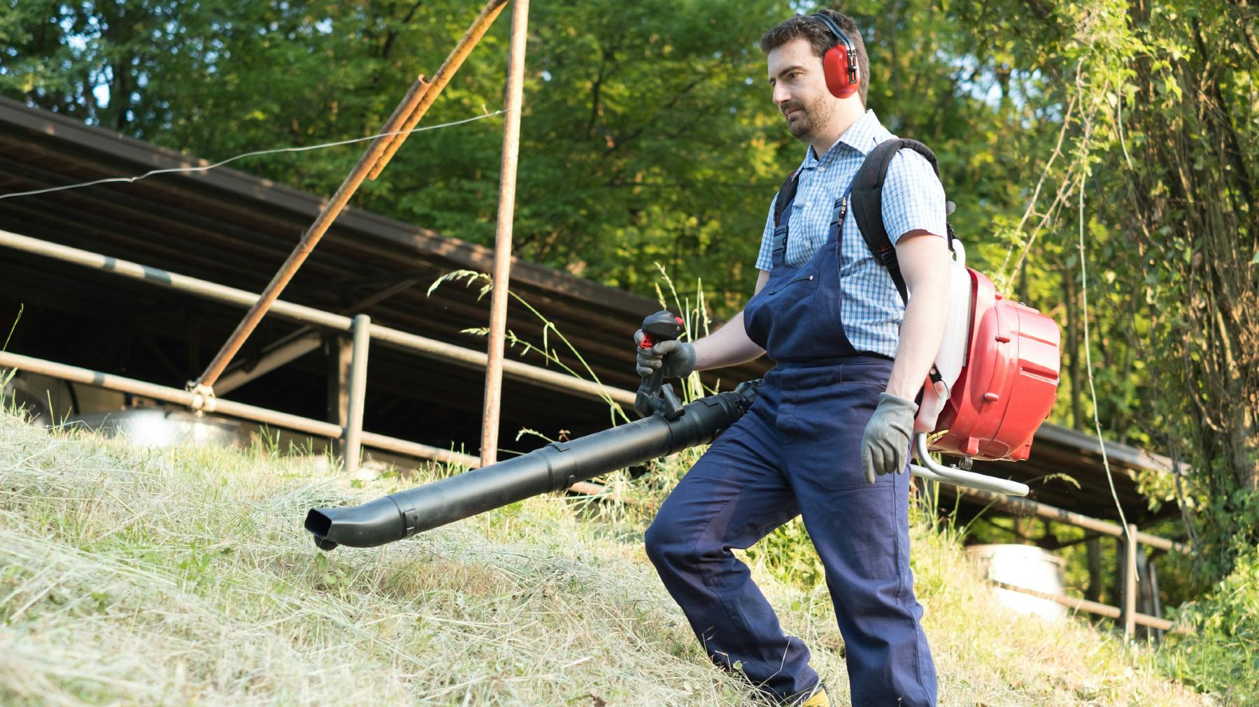 Best residential backpack blower store