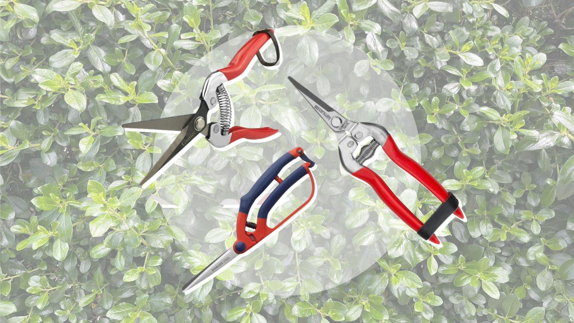 Best garden scissors for pruning precision