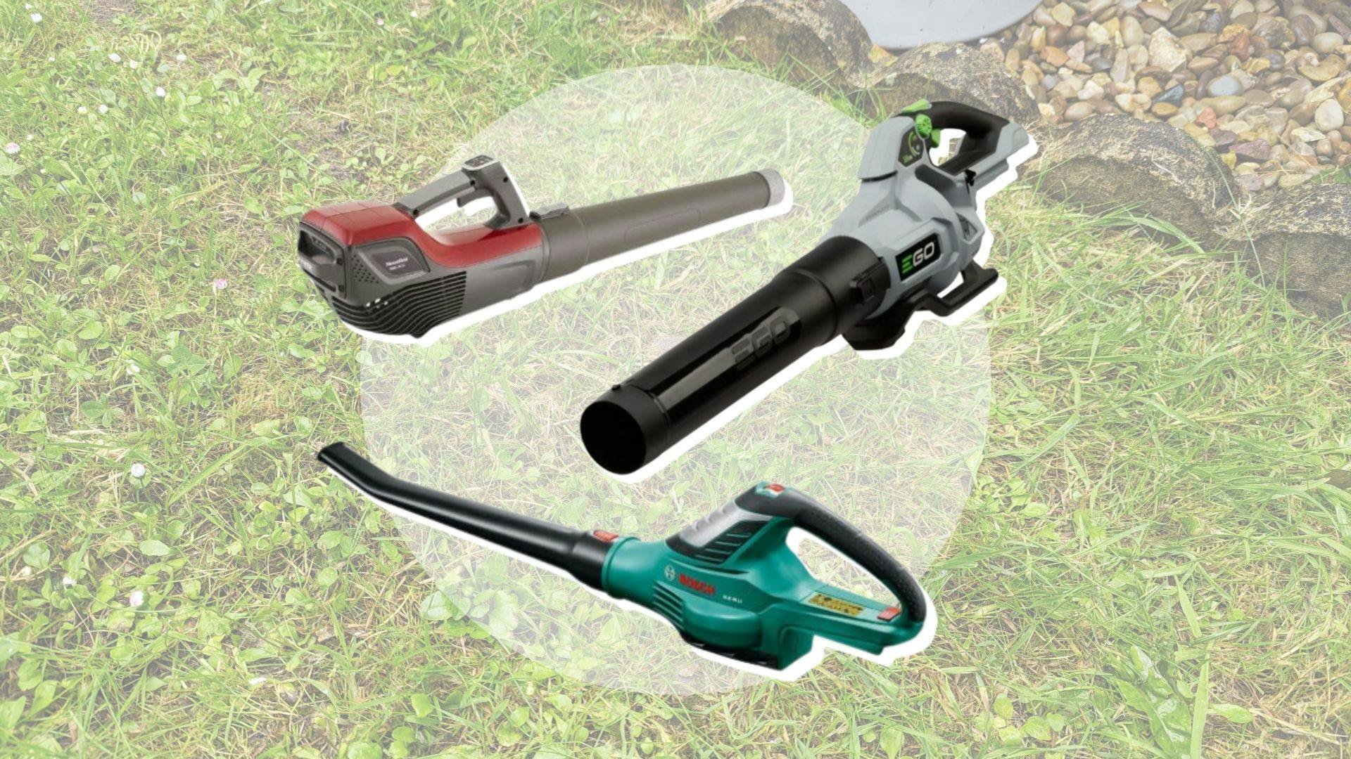 Best cordless leaf blower under $200 store