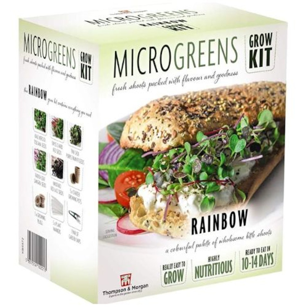 Microgreens - nutritious herbs you can grow easily indoors