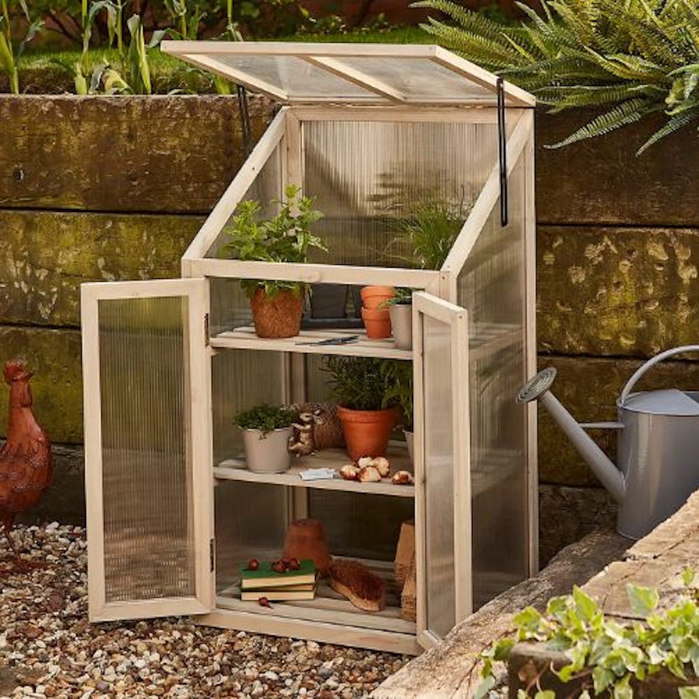 The 9 best mini greenhouses for small-scale plant care 2024