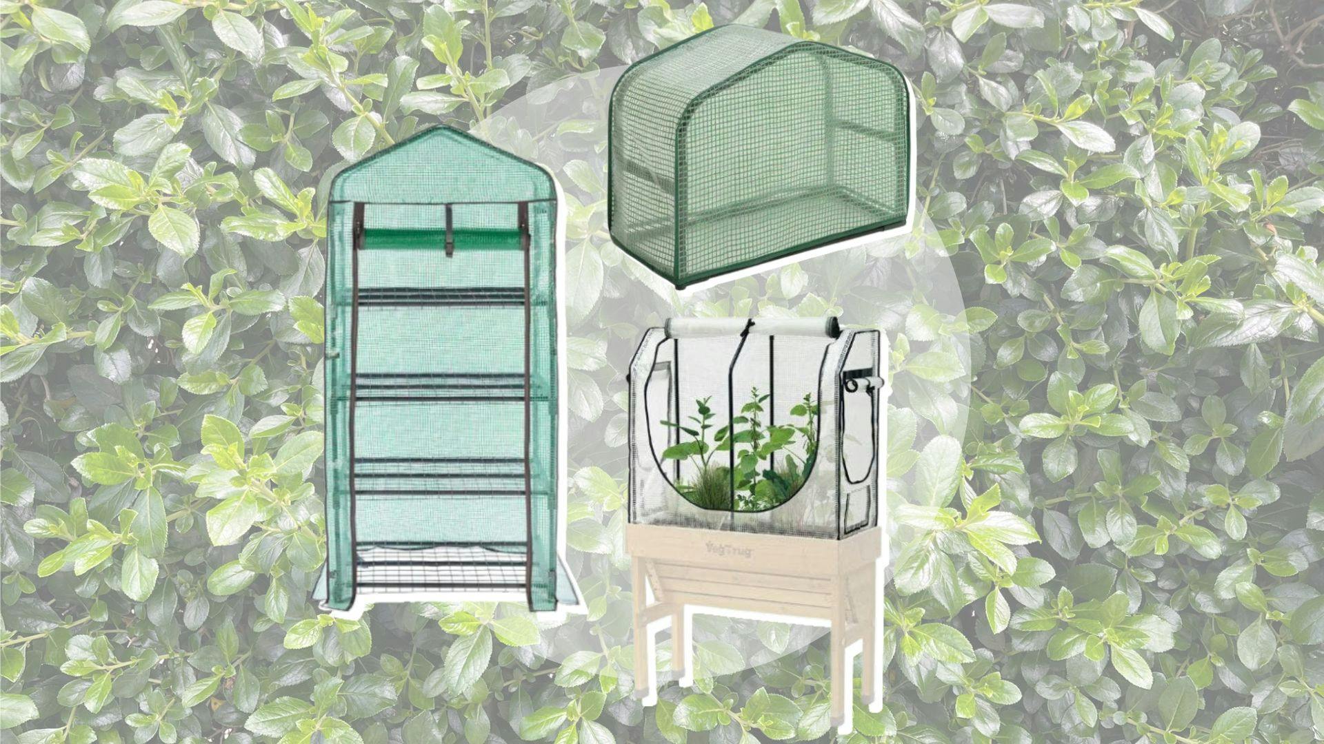 The 9 best mini greenhouses for small-scale plant care 2025