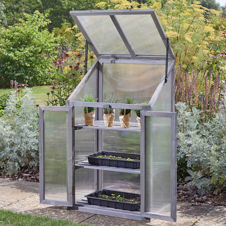 The 9 best mini greenhouses for small-scale plant care 2025