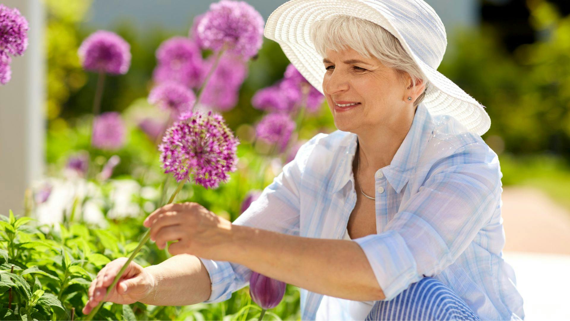 When to plant allium bulbs according to our gardening expert