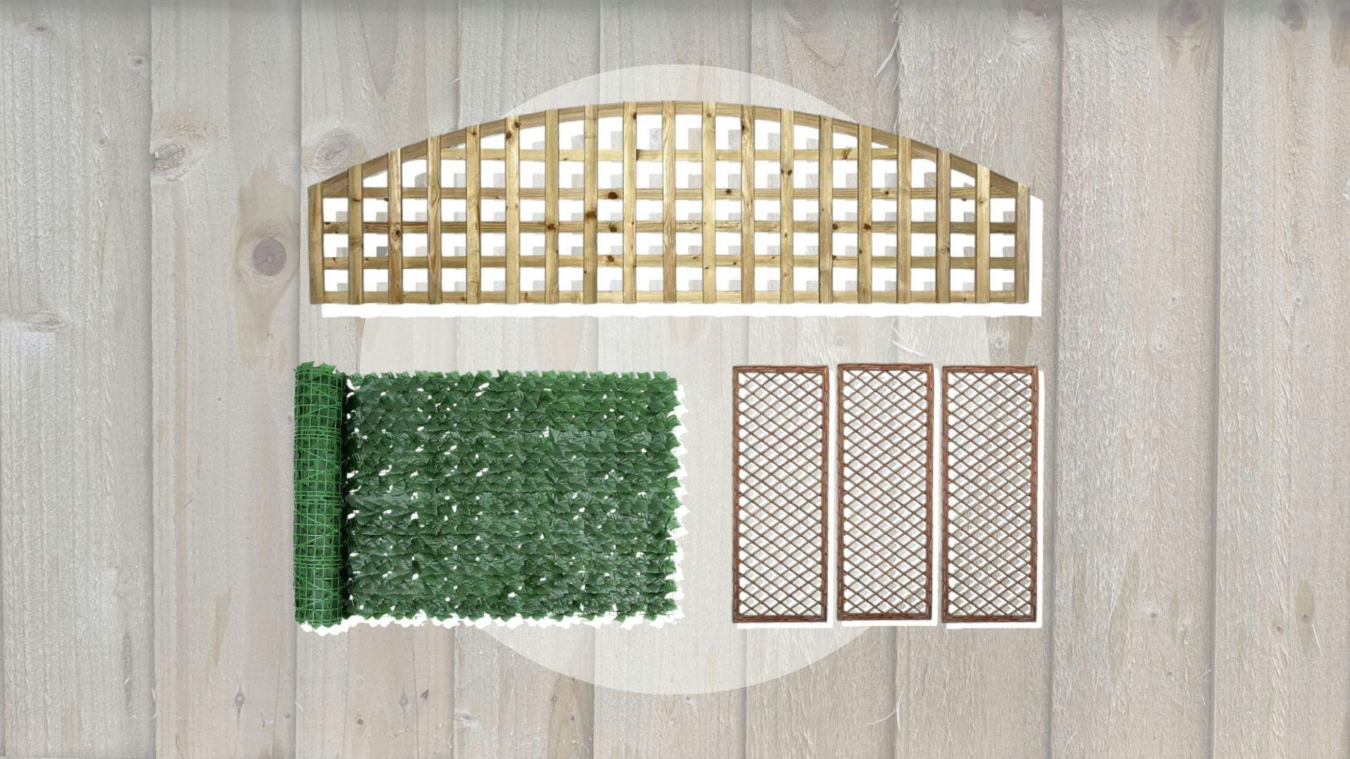 Stay shielded with the best garden screening ideas 2024