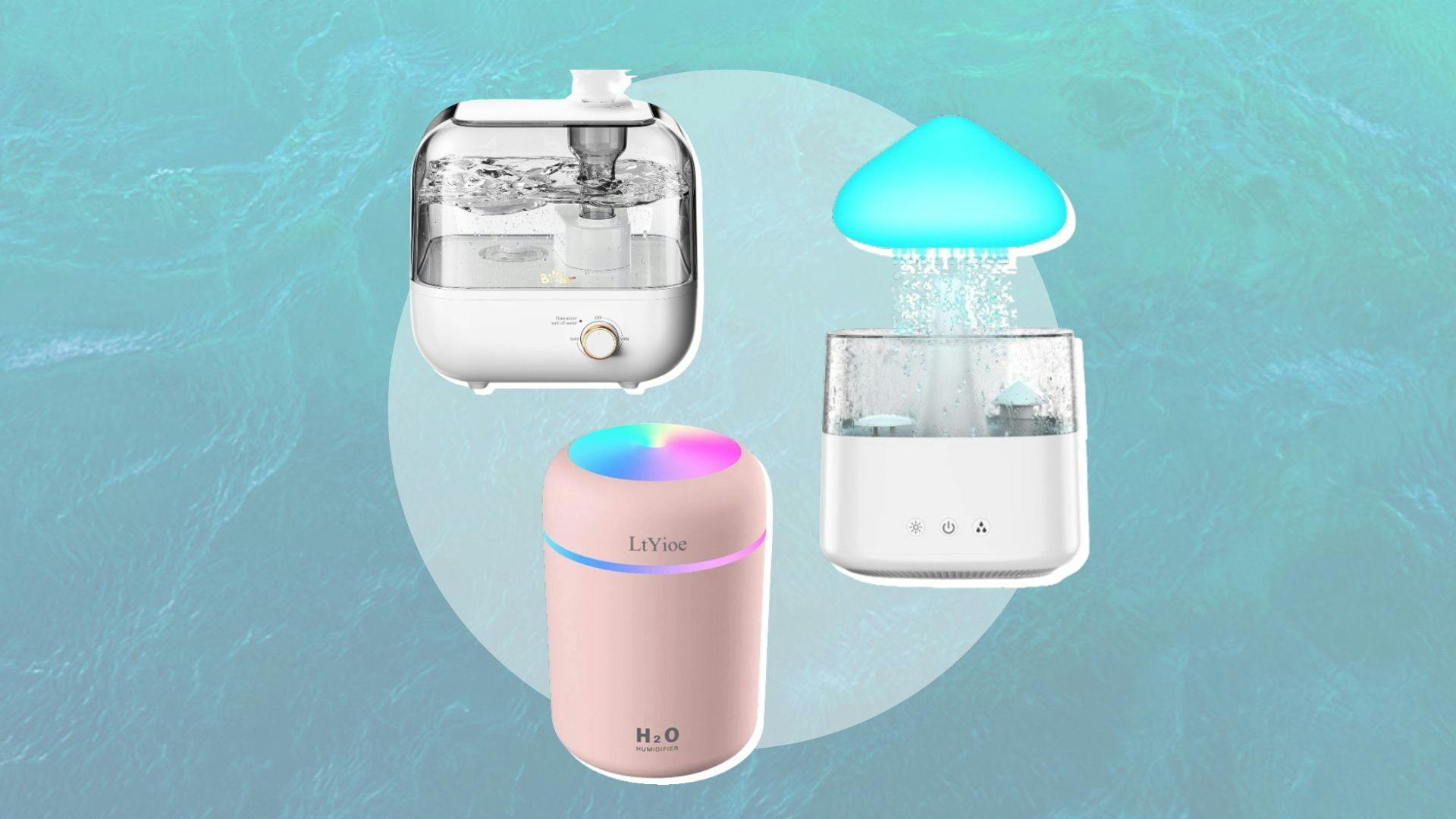 Best indoor plant humidifiers 2025