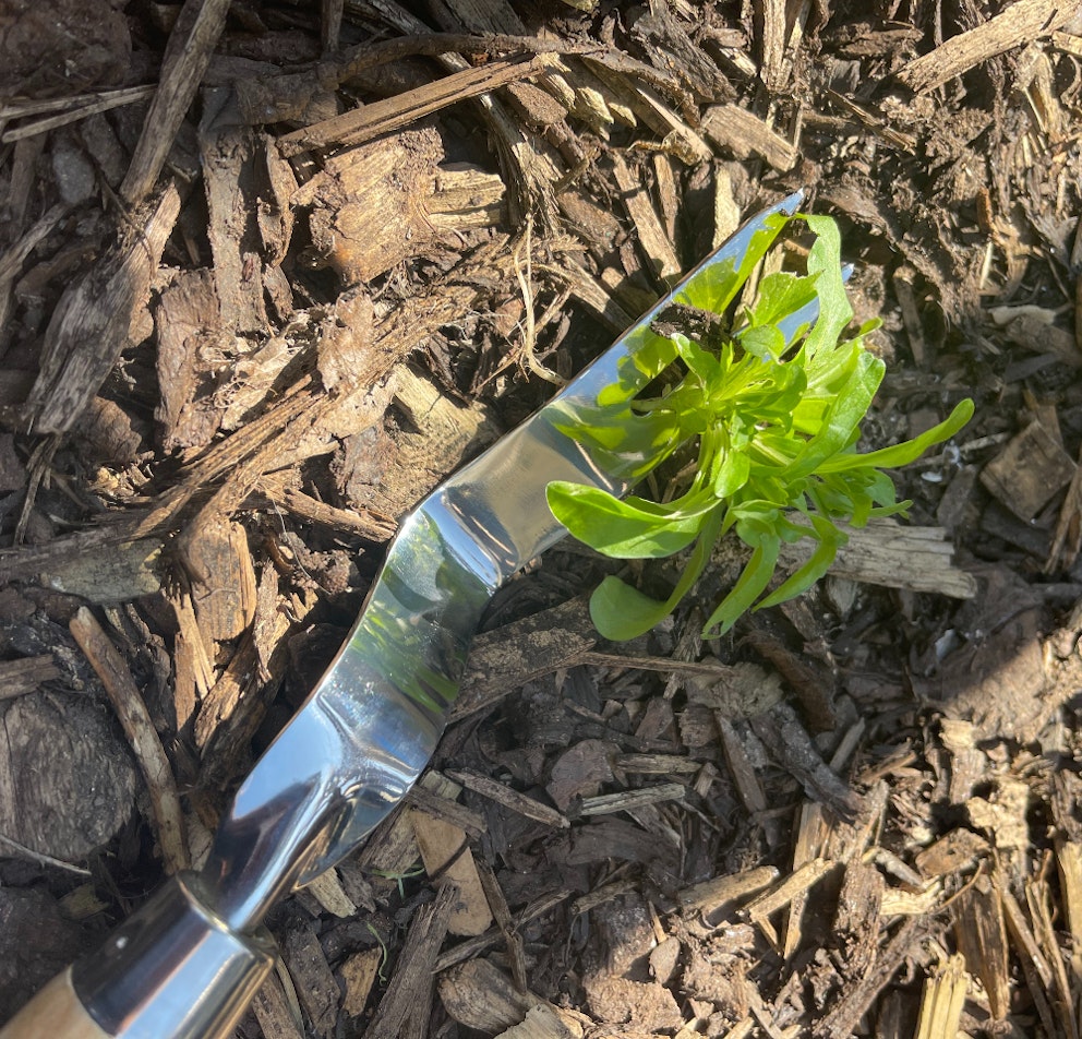 Best weed pullers 2025: Tried and tested