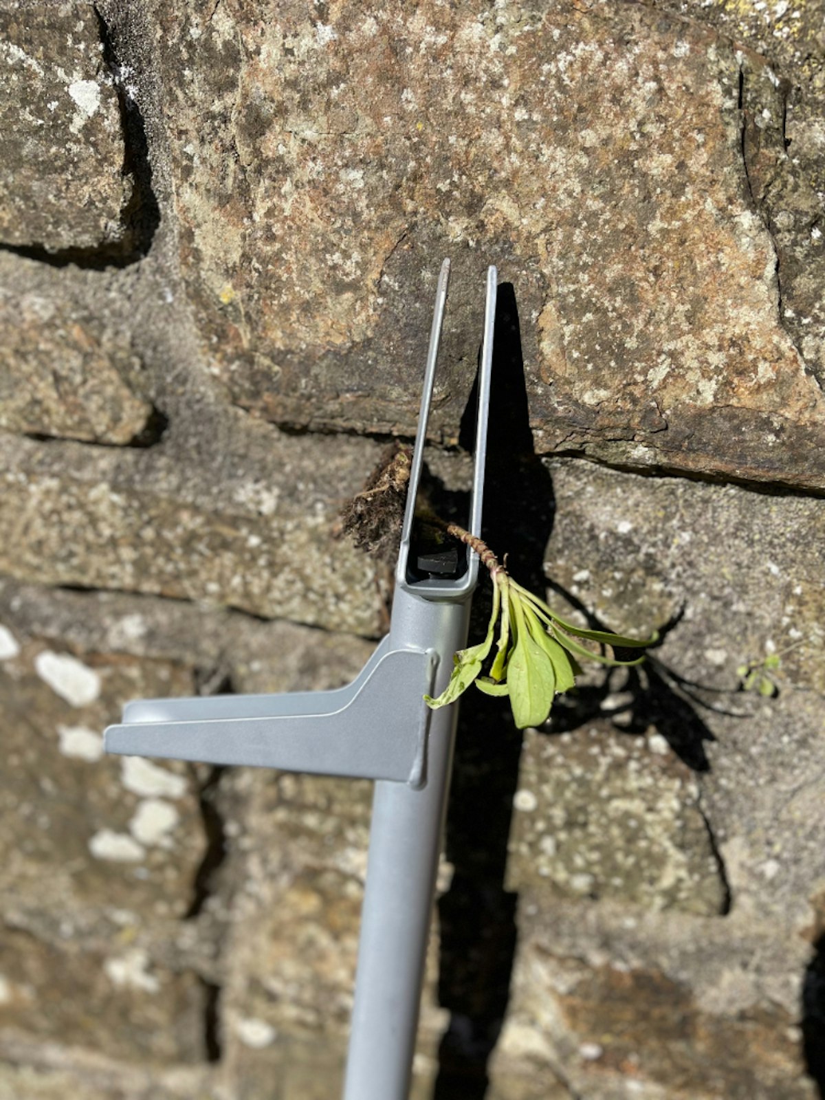 Best weed pullers 2025: Tried and tested