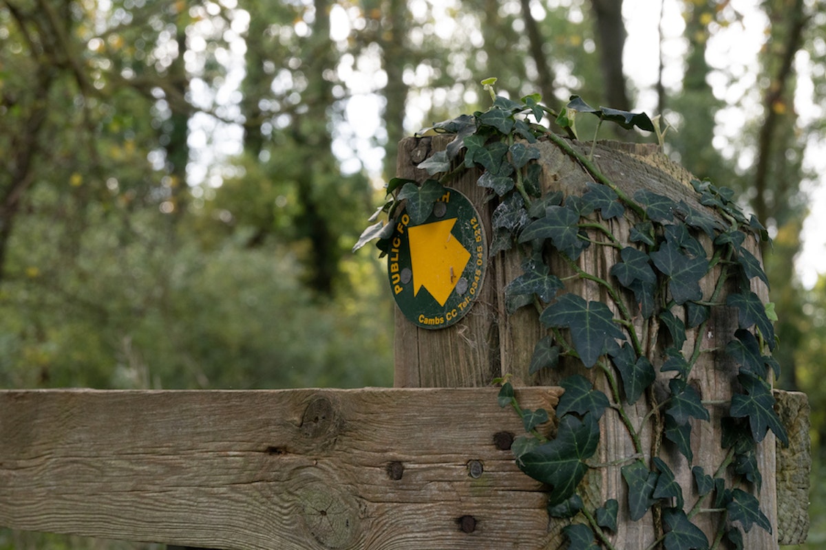 Video and stills for newcomers: Nikon Z30 camera review