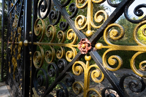 Nikon Z30 camera review: Video and stills for newcomers | Tech | What's ...