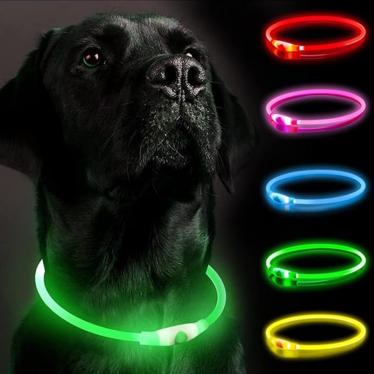 Best Light-Up Dog Collars 2024: Perfect For Late Night Walks