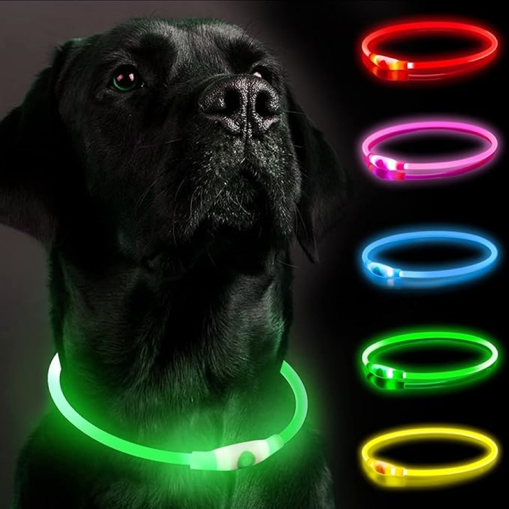 Best Light-Up Dog Collars 2024: Perfect For Late Night Walks
