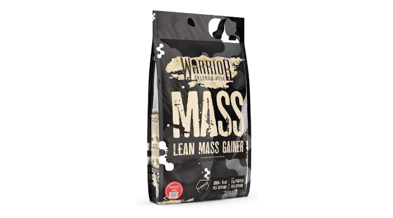 The best mass gainers