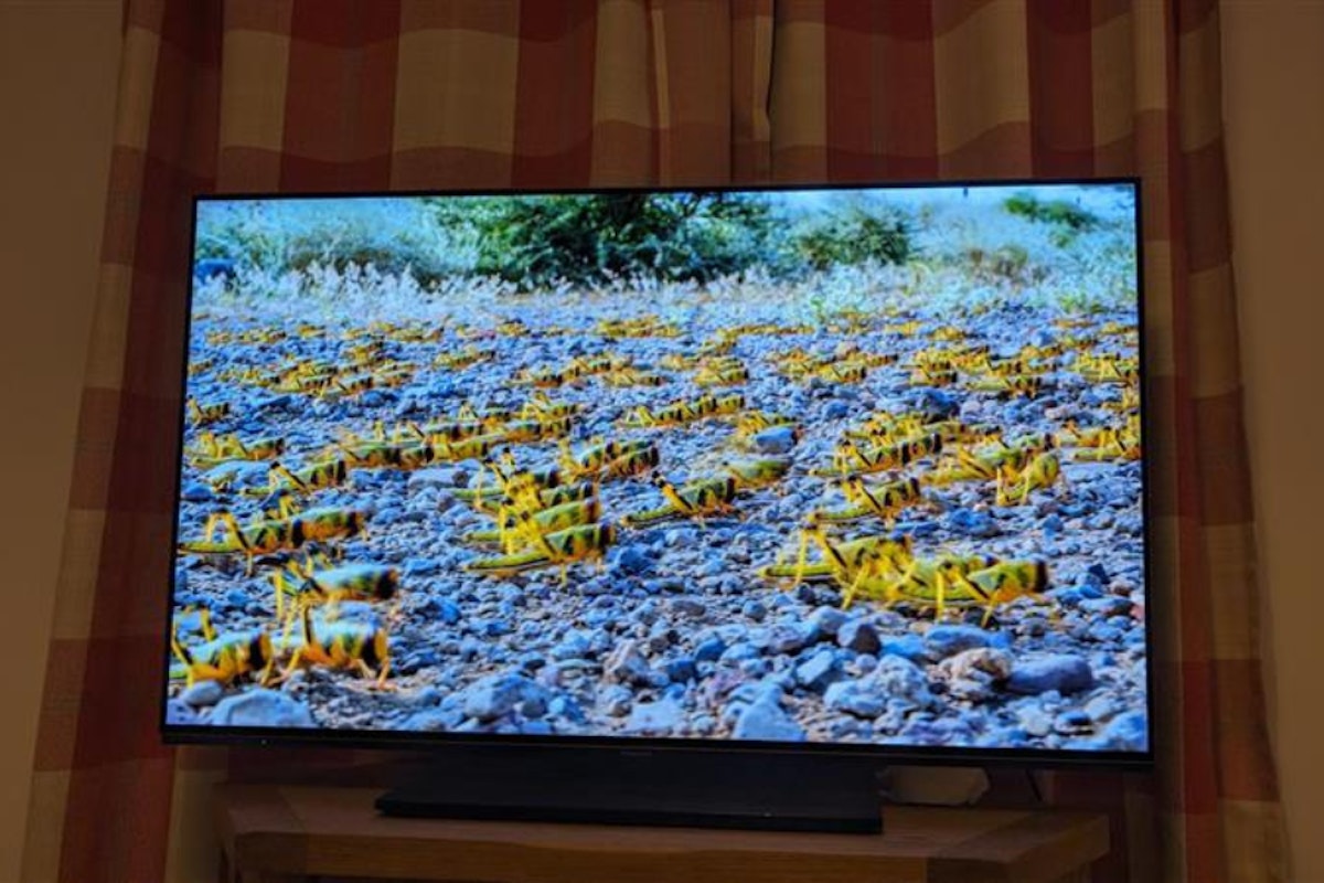 Which type of TV screen is best?