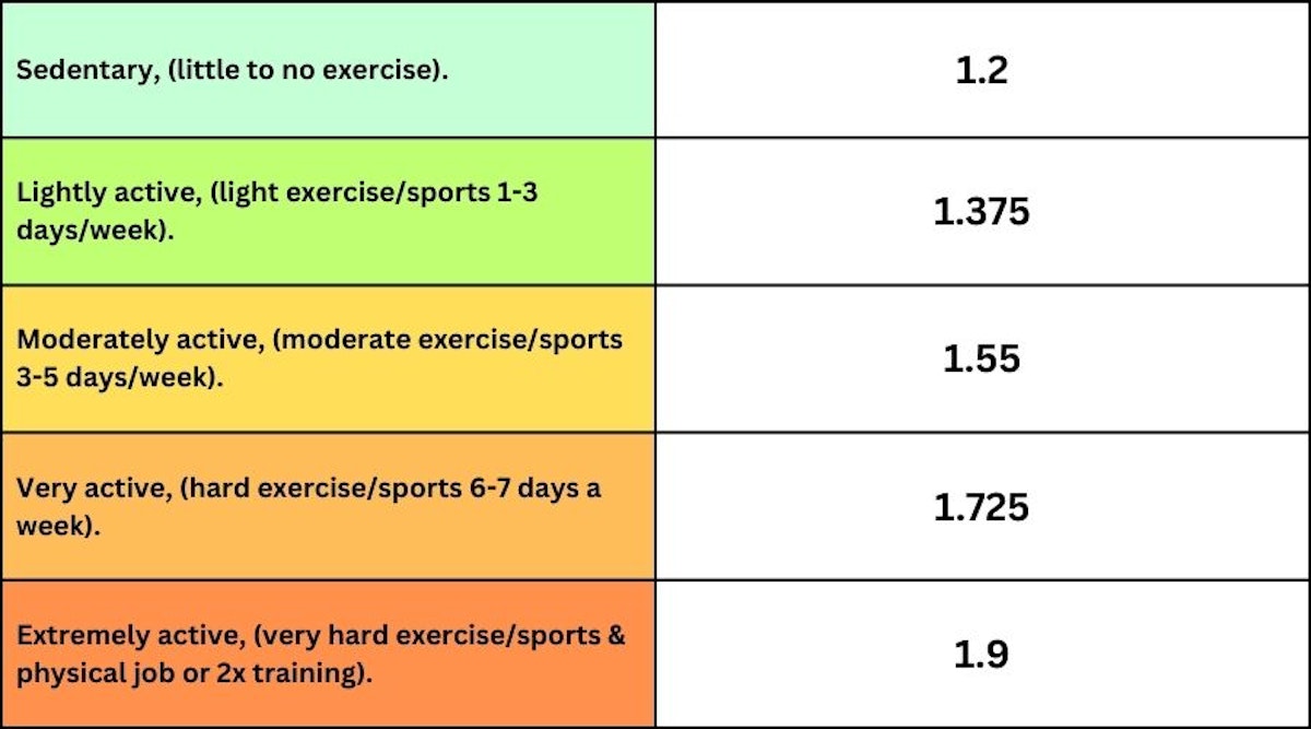 What is metabolism? Metabolism complete guide by experts