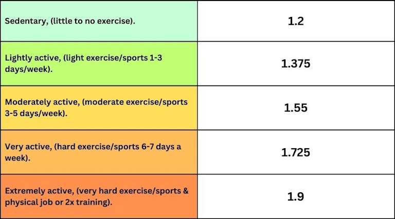 What is metabolism? Metabolism complete guide by experts