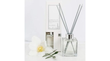 Best Reed Diffusers from Yankee Candle to Neom
