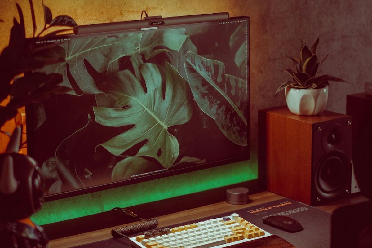 The best OLED monitors of 2024