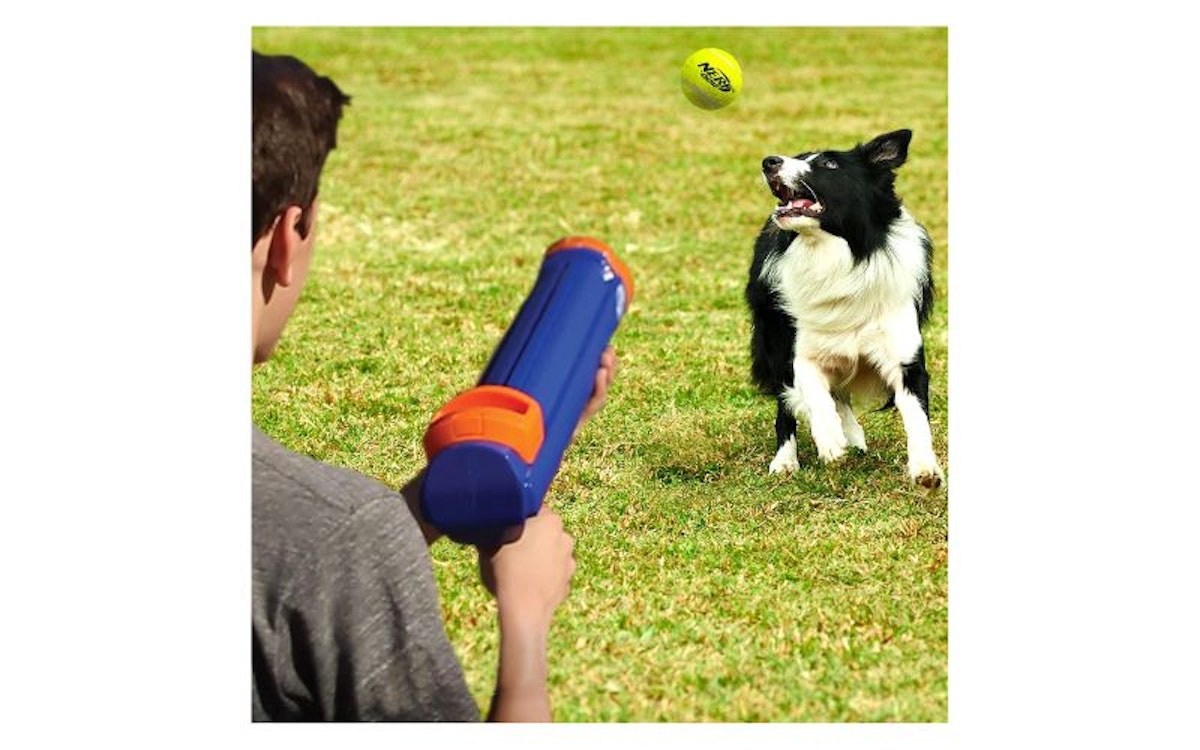 The best dog ball launchers of 2024: Easier throwing, more fun
