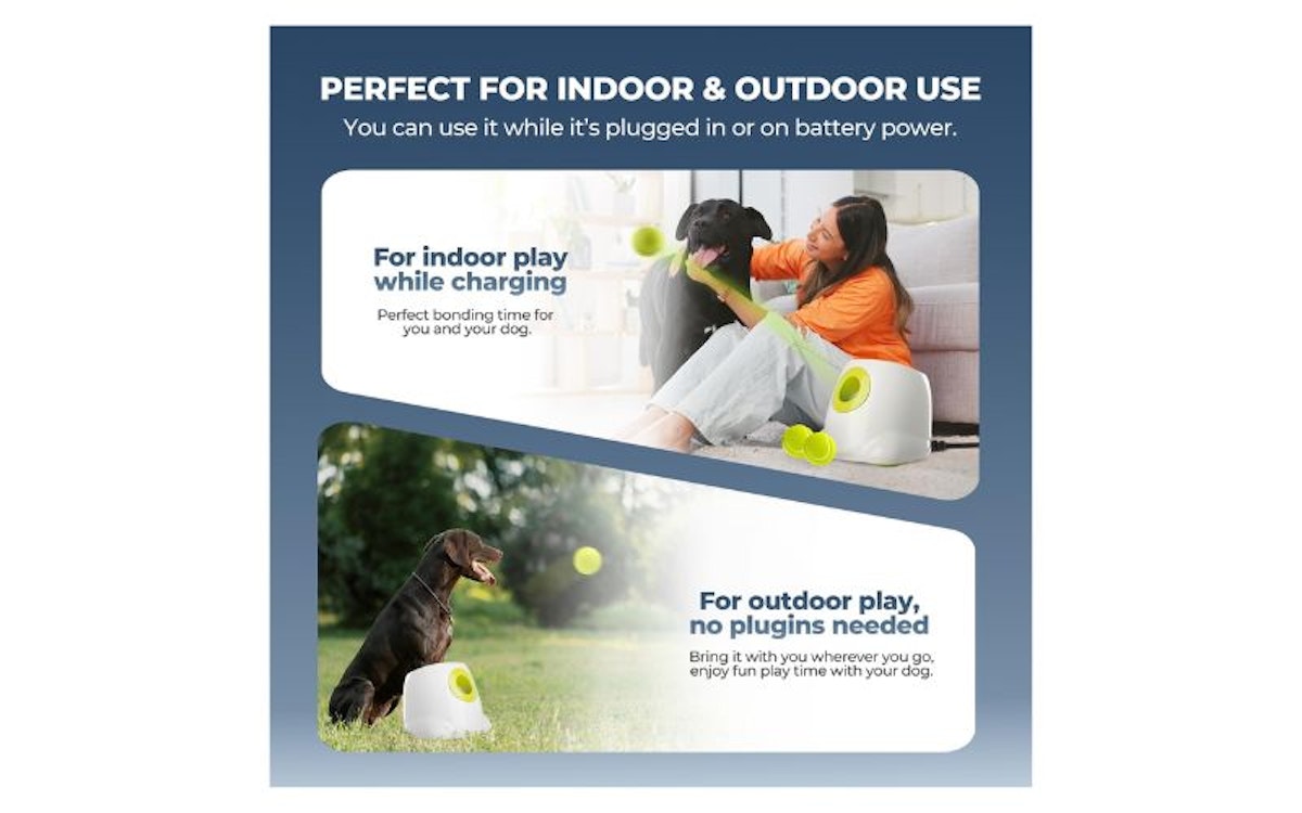 The best dog ball launchers of 2024: Easier throwing, more fun