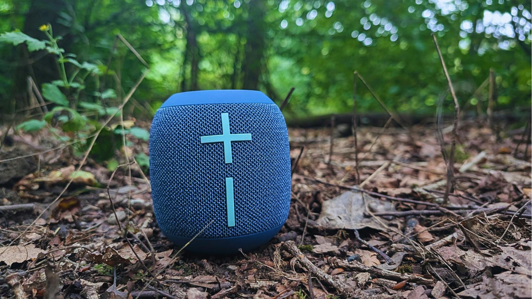 What is an IP rating?