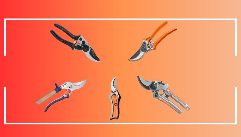 Best secateurs: tried and tested