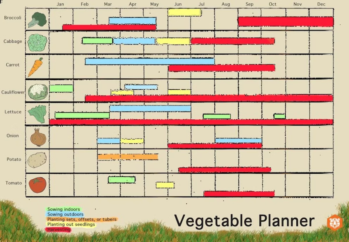 When to plant vegetables: a guide to sowing your own veg