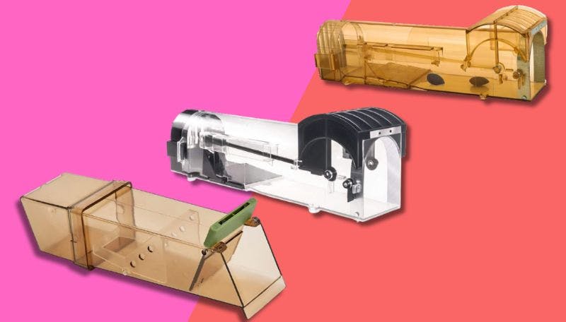The best mouse traps that actually work (and are humane)