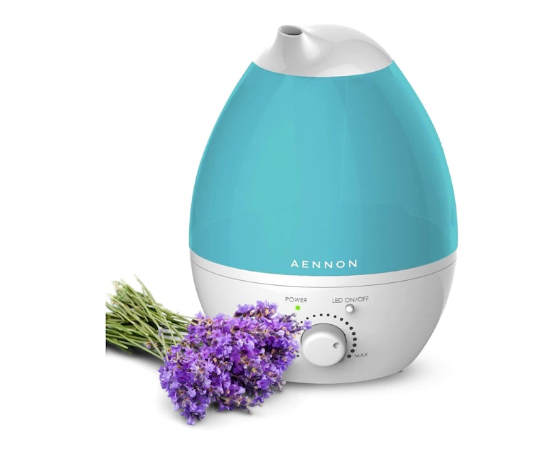 The best humidifiers for allergy season 2024 UK
