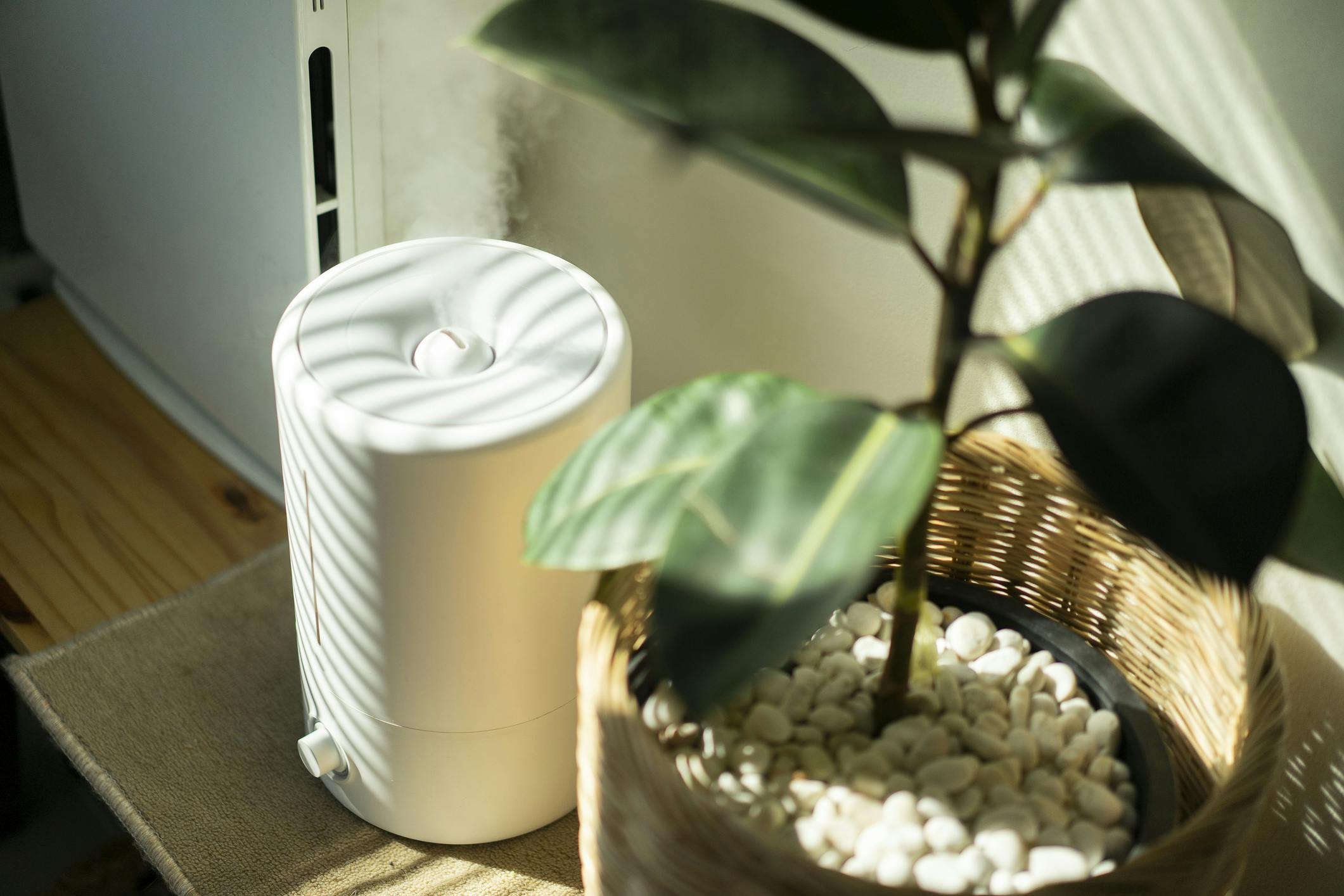 The best humidifiers for allergy season 2024 UK