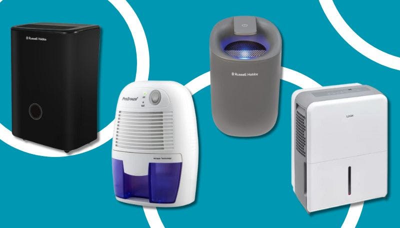 Best dehumidifiers for every home and budget 2025