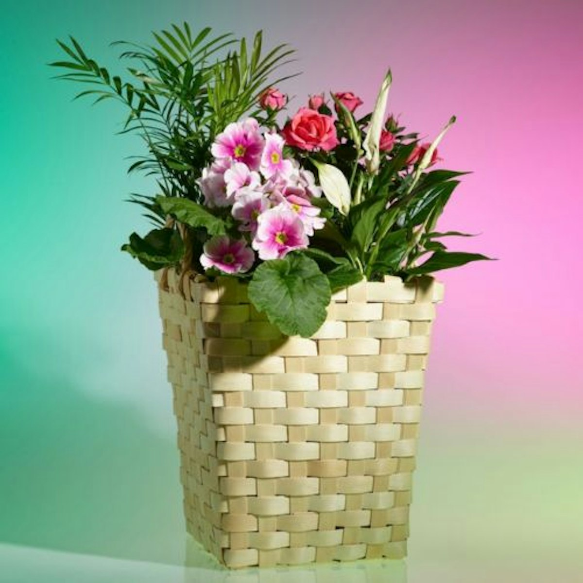 Waitrose flower delivery: options and prices