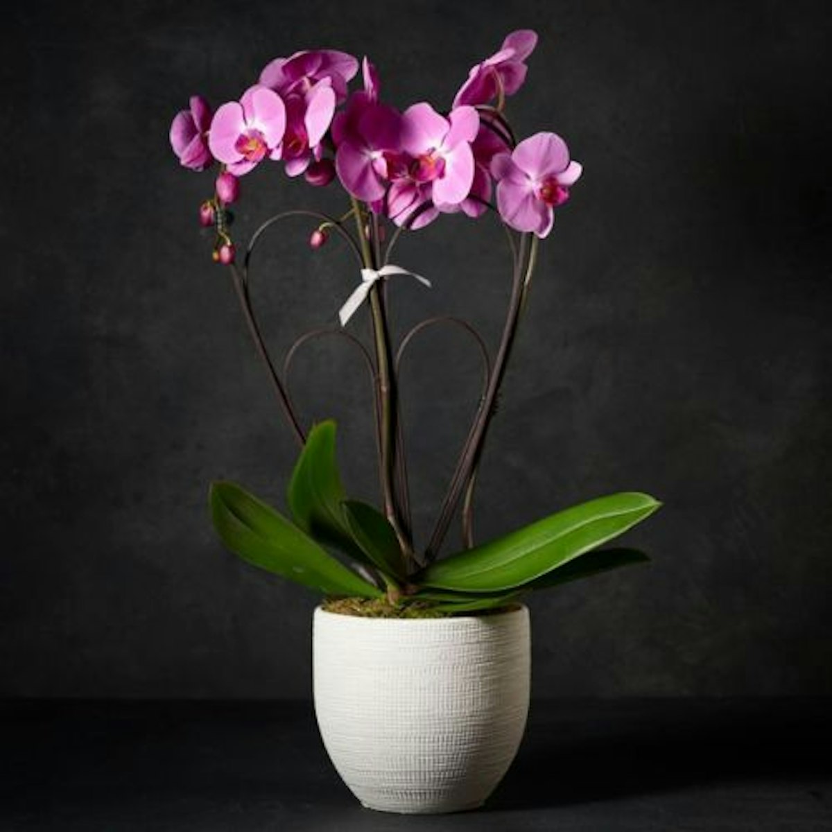 Waitrose flower delivery: options and prices