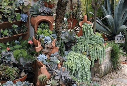 10 rockery ideas for a low-maintenance garden | Life | Yours