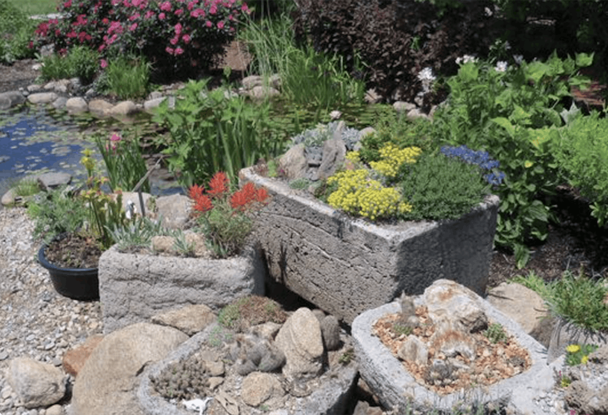 10 rockery ideas for a low-maintenance garden | Life | Yours