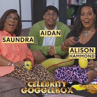 Celebrity Gogglebox cast: Meet the famous faces watching TV