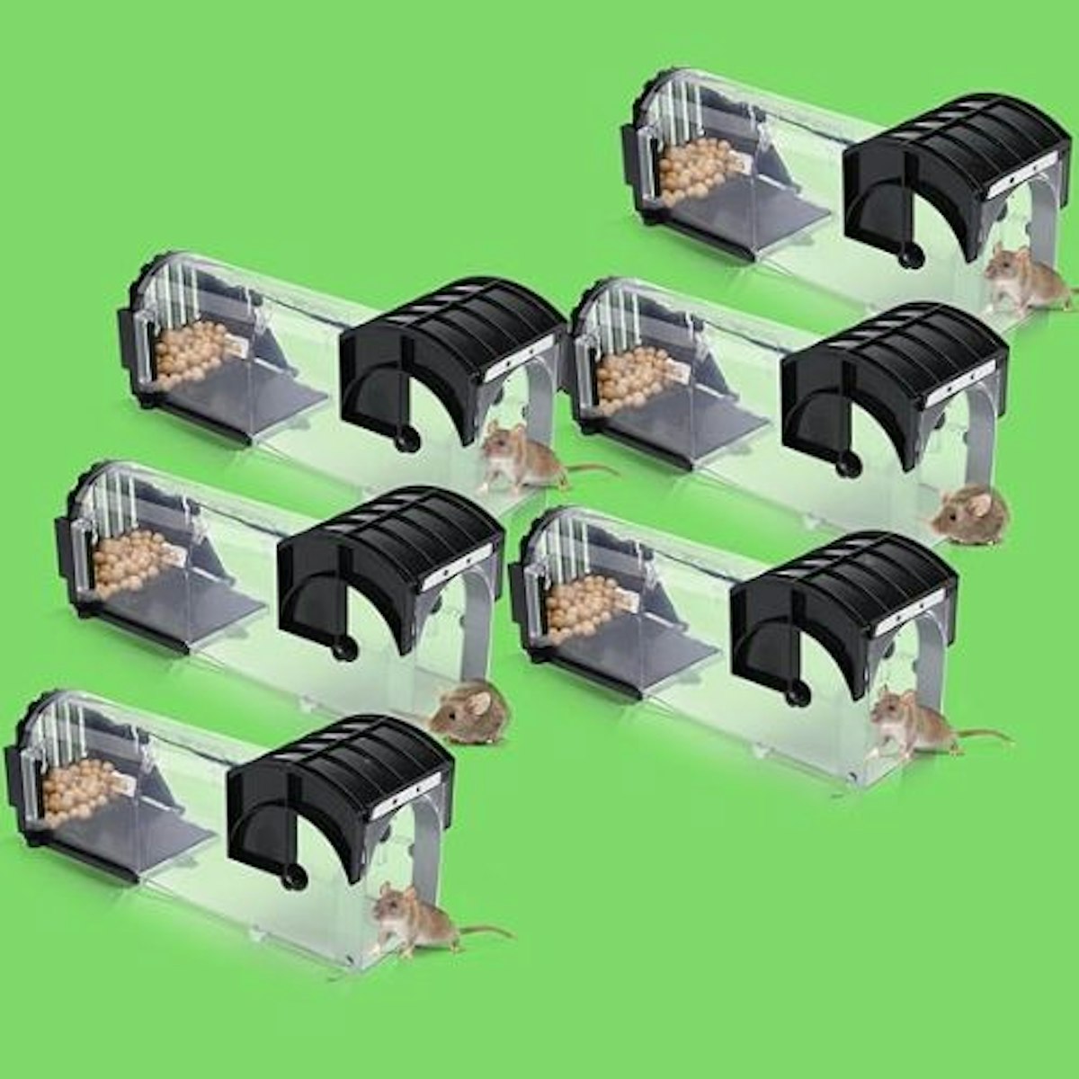 The best mouse traps that actually work (and are humane)