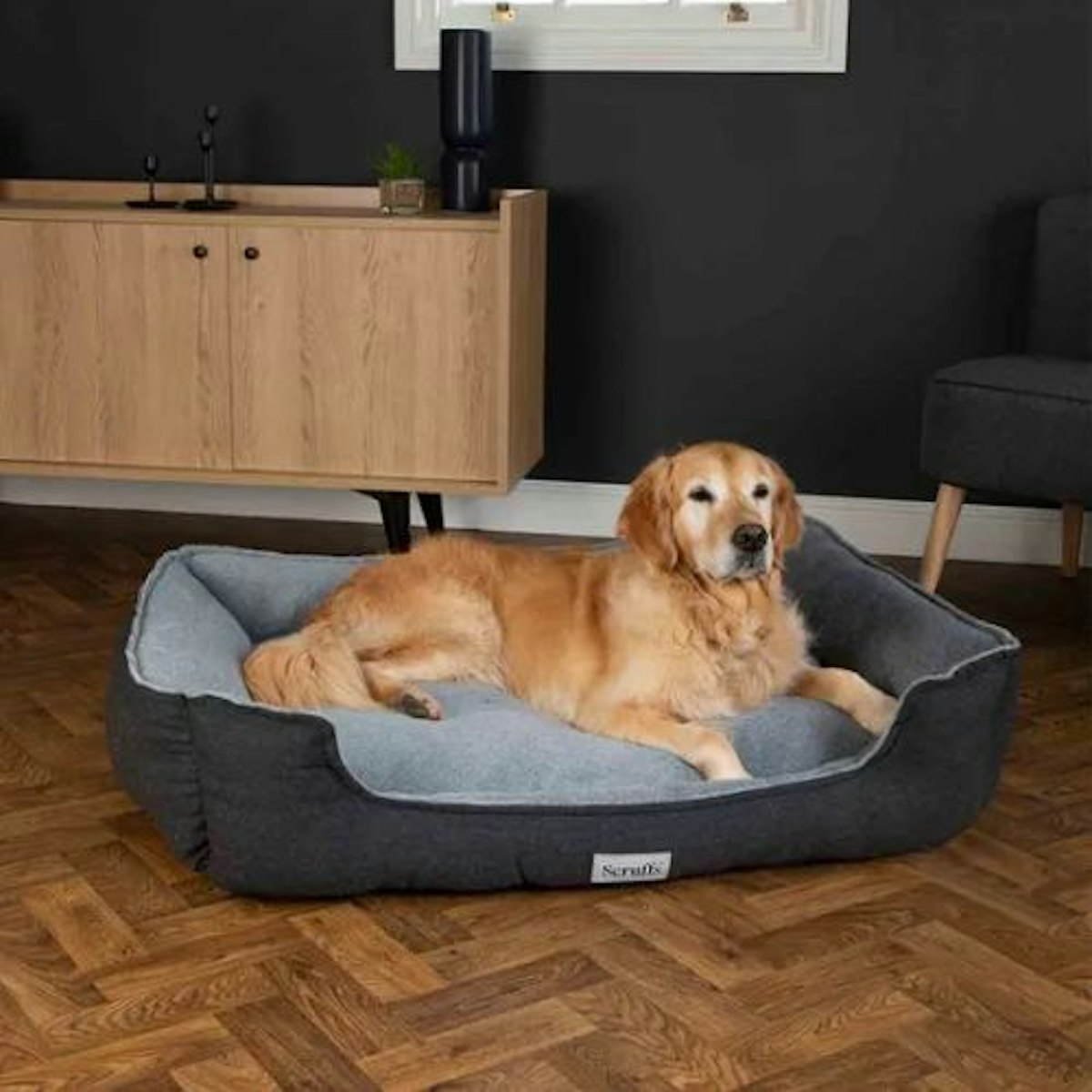 11 of the best orthopaedic dog beds, according to vets